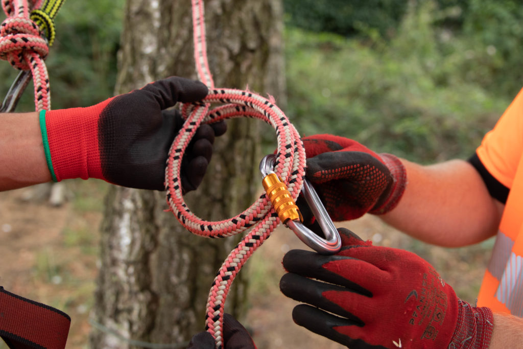 Tree Surgery and Aerial Tree Rescue | Directree