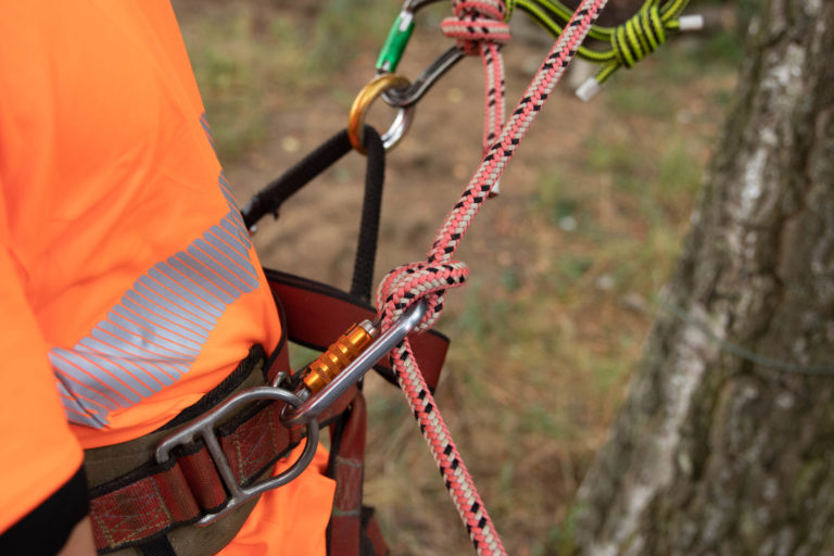 Tree Surgery and Aerial Tree Rescue | Directree