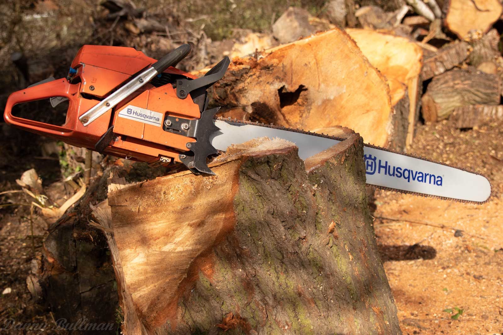 Directree | A Directory of Tree Surgeons & Arborculturists